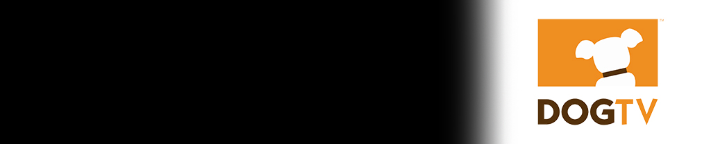 Programação Dog TV: Confira informações do Canal | SKY - Sky